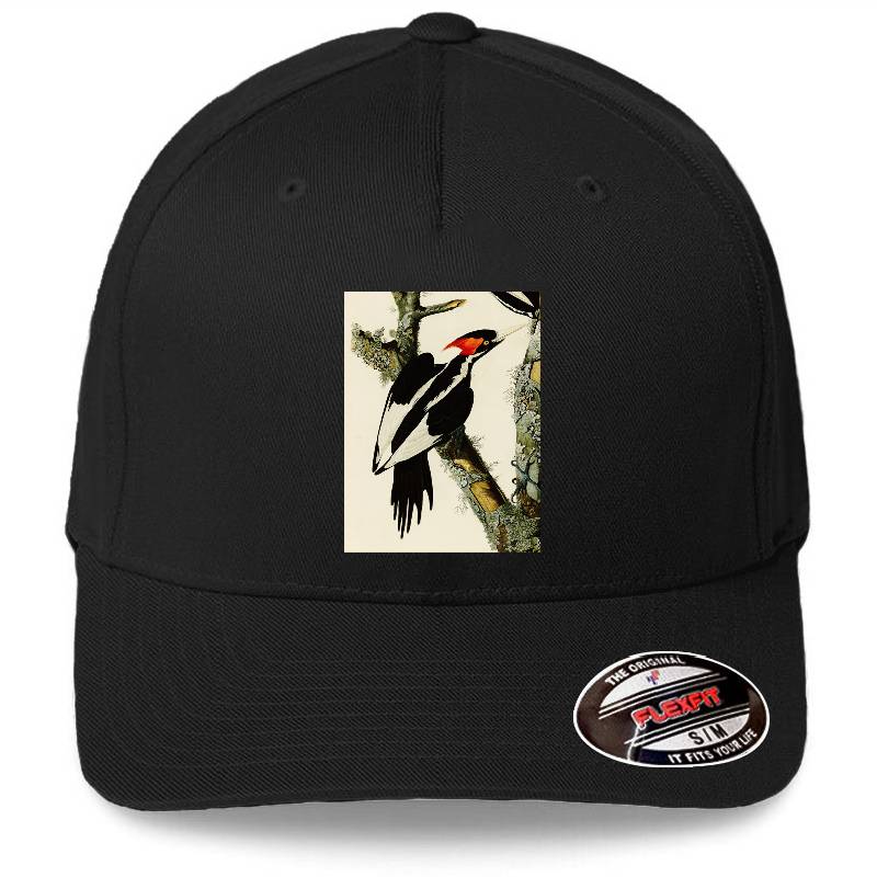 Audubon's Ivory Billed Woodpeckers Flexfit Baseball Cap - T-FUNNY.COM ...