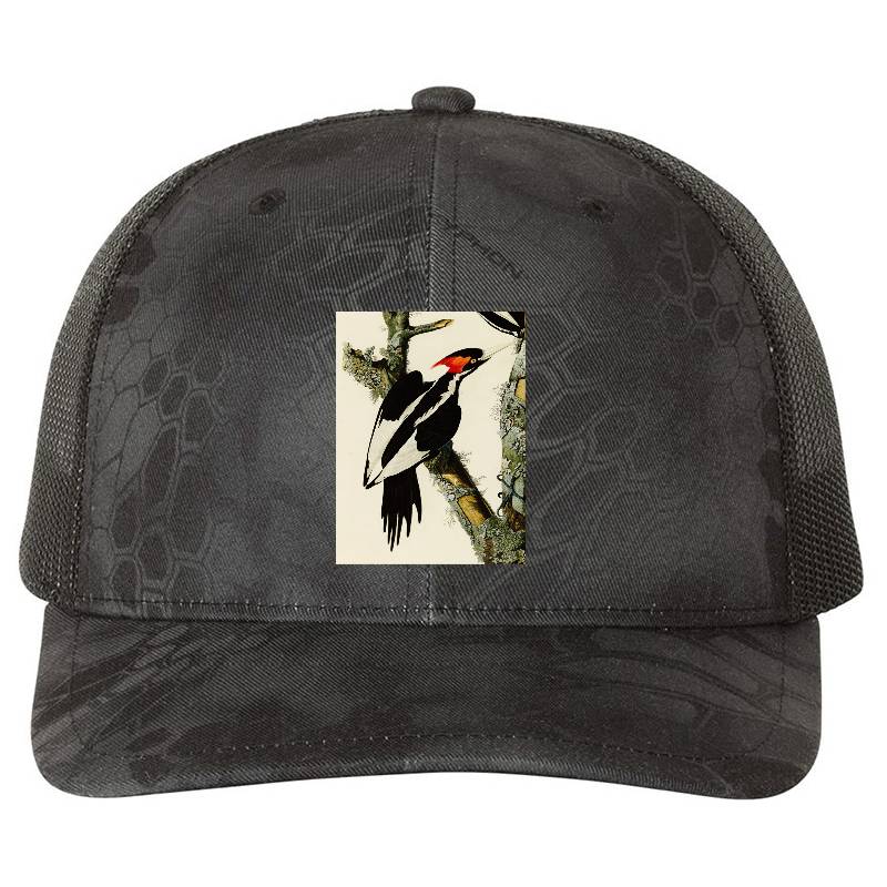 Audubon's Ivory Billed Woodpeckers Richardson Premium Trucker Snapback ...